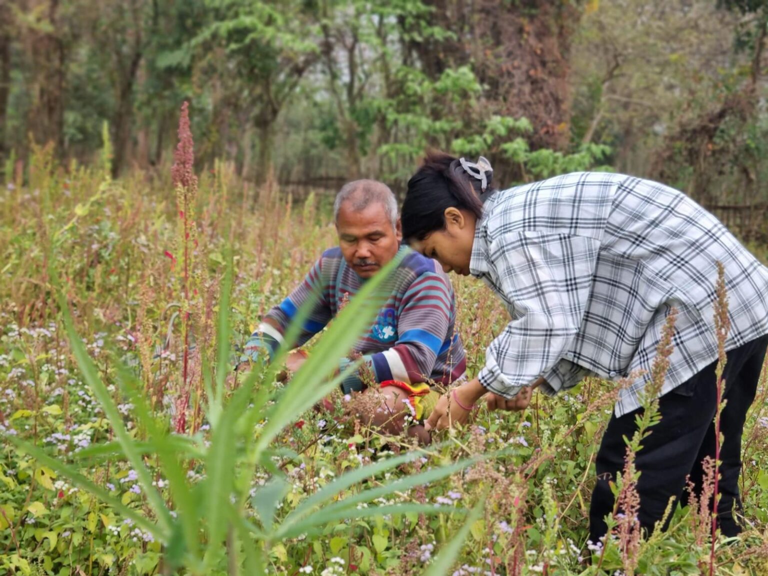 Nurturing saplings as important as planting them: Forest Man of India ...