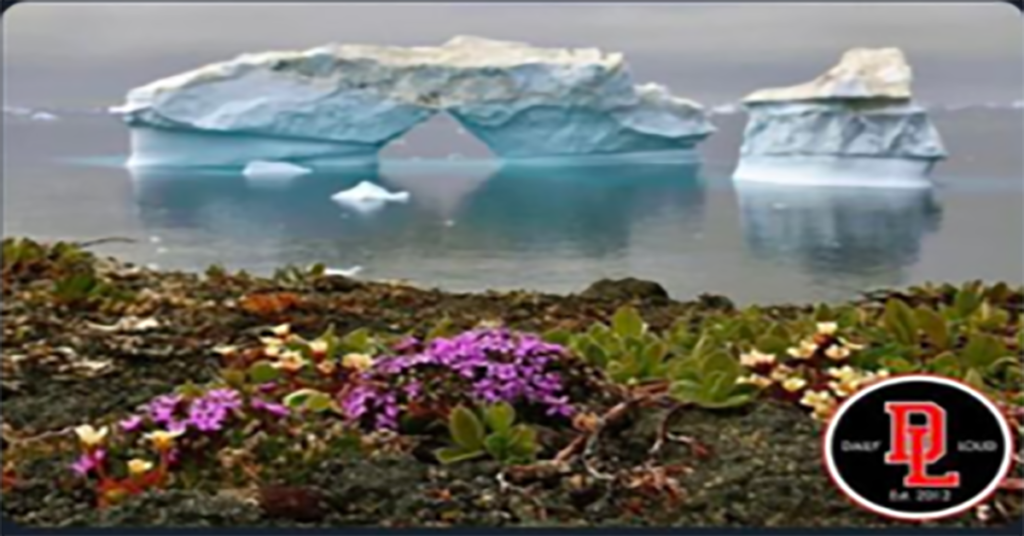 The Floral Resurrection of Antarctica: Revealing the Effects of Climate ...