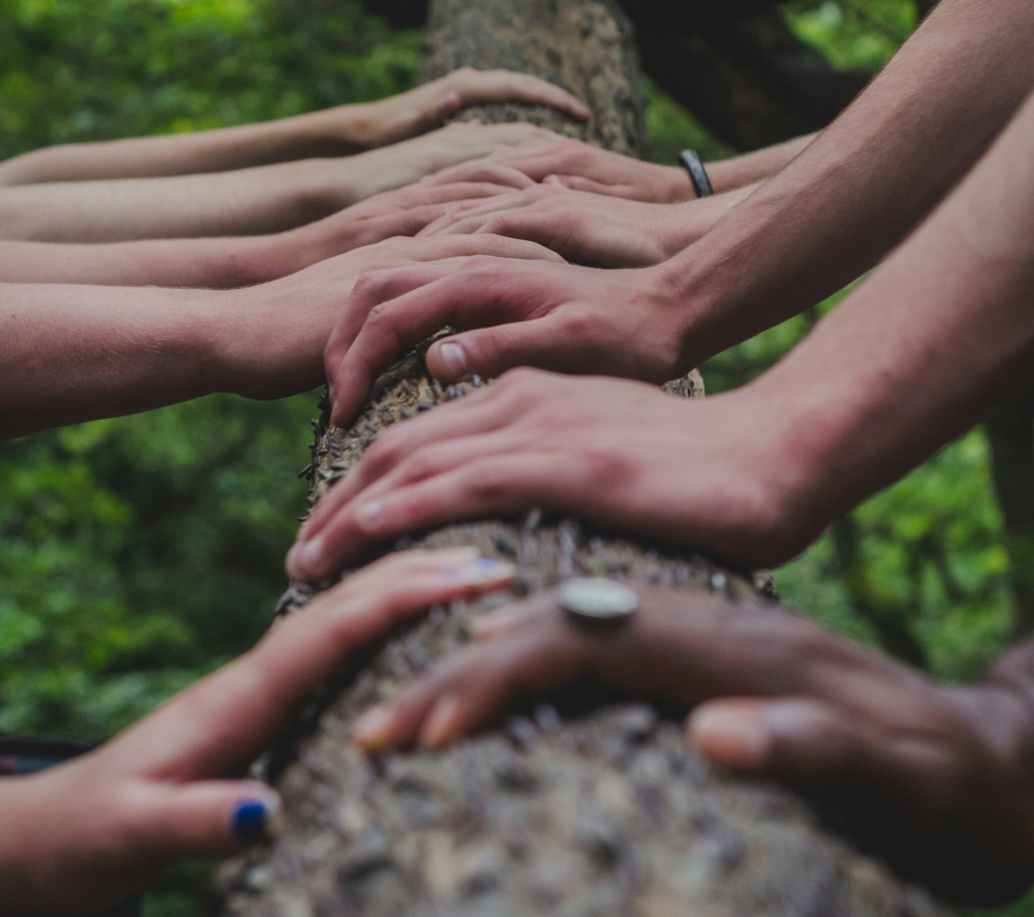 Where People and Nature Thrive Together: A Look at UNESCO’s Living ...